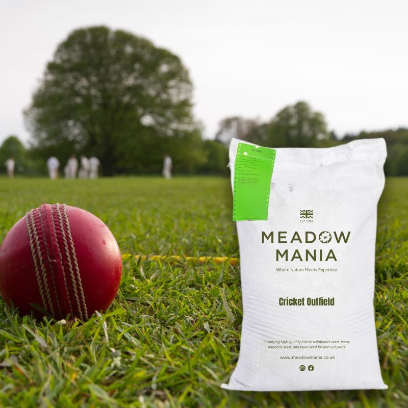 Cricket Outfield Grass Seed Mix – Meadowmania UK