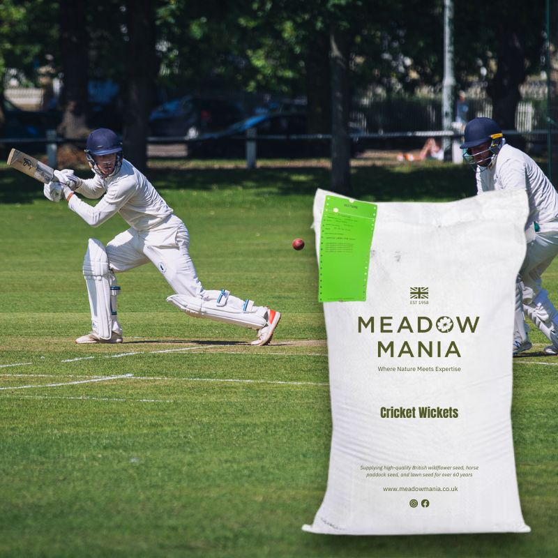 Cricket Wickets Grass Seed Mix – Meadowmania UK