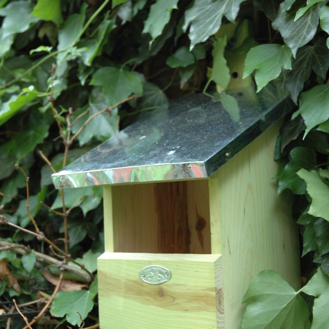 Robin / Flycatcher Nest Box – Meadowmania UK