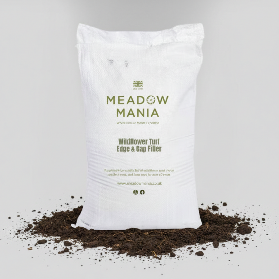 Species-Rich Lawn Meadow Turf – Meadowmania UK