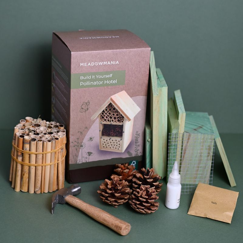 British Native Tree Species | Bare-root Whips – Meadowmania UK