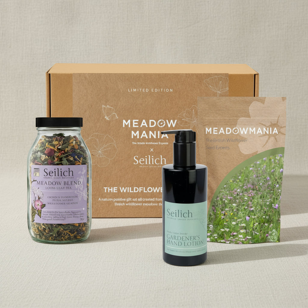 British Native Tree Species | Bare-root Whips – Meadowmania UK