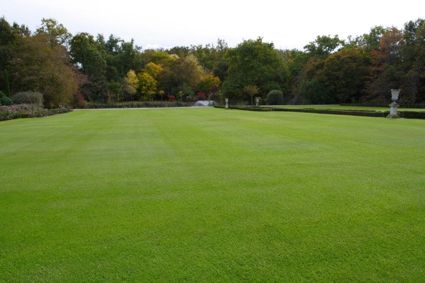 Large Hard Wearing Lawn Areas with ryegrass